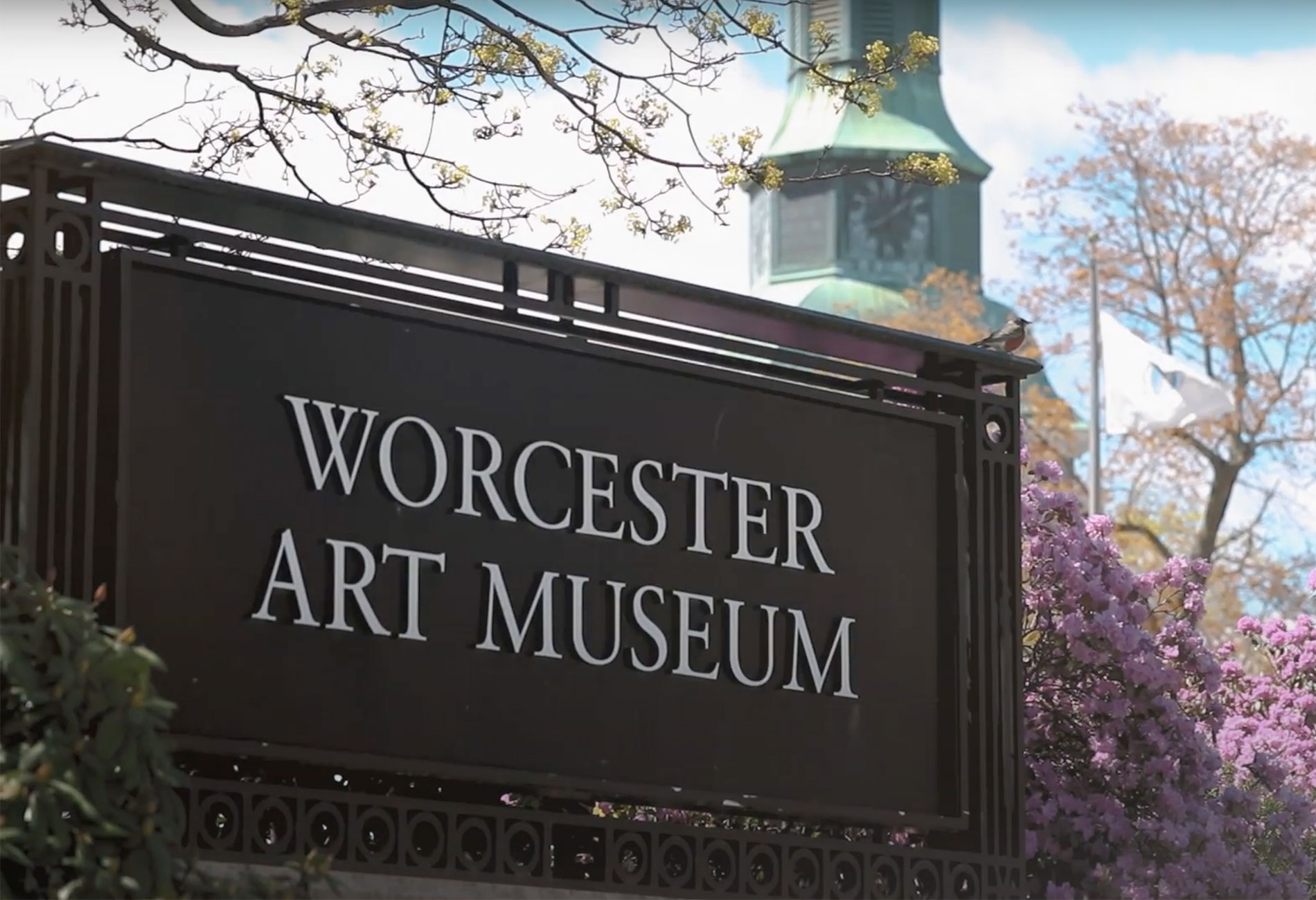 Museum Video Production | Worcester Art Museum